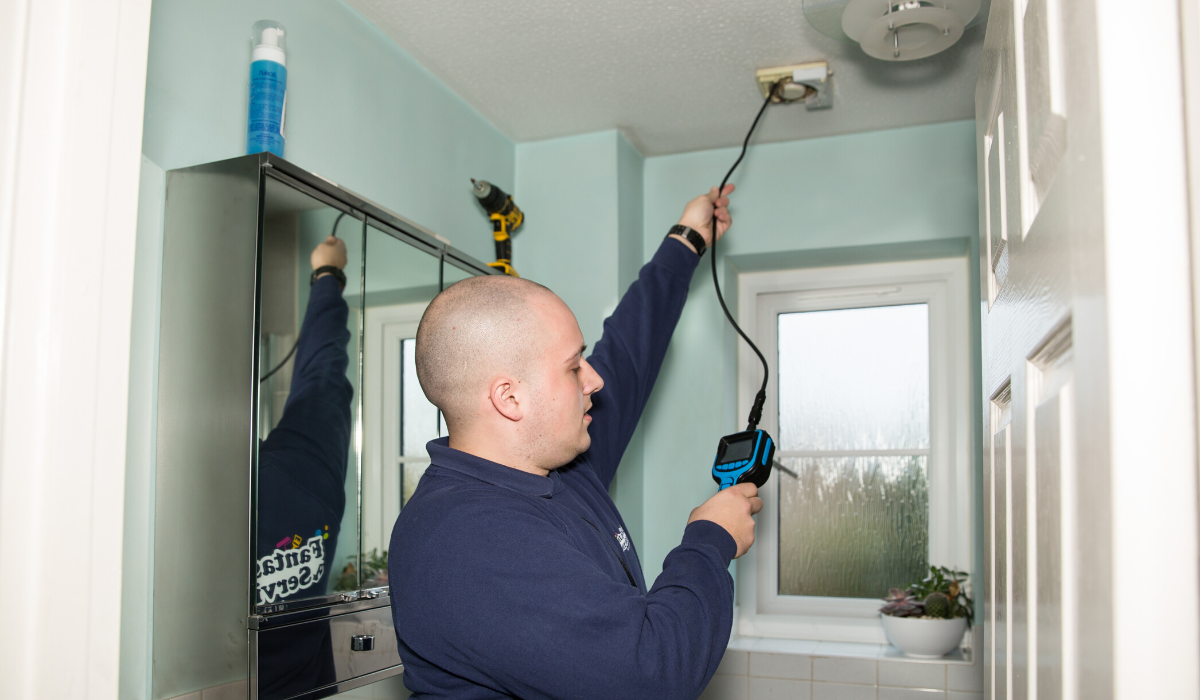 Pigeon Pest Control London | Bird and Pigeon Exterminator