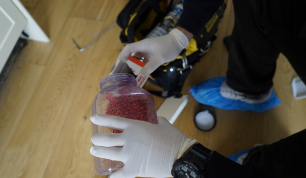 24/7 Mouse Exterminator London | Mice Pest Control London