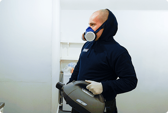 Insect Fogging Services & Flying Pest Eradication London