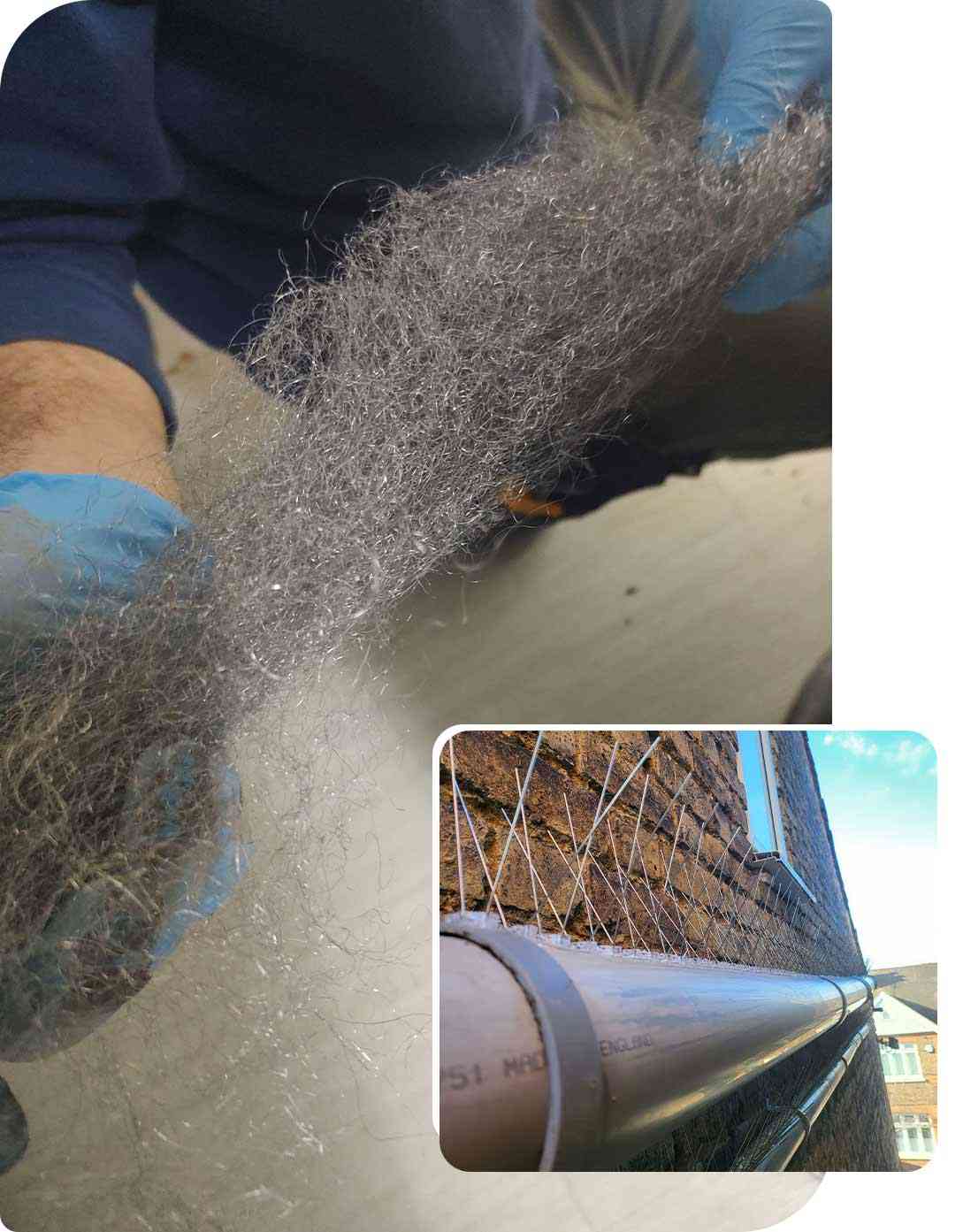 Pest Proofing Prevention Services Pest Exclusion Techniques Pest Proofing Prevention Services Pest Exclusion Techniques