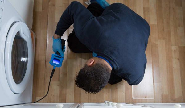 Pest Inspection for Your Home & Business | Pest Control Services