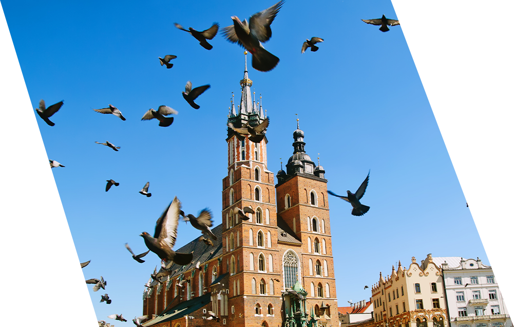 Pest Control for Churches and Charities | Reliable Pest Solutions